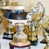 M & M Trophies & Awards